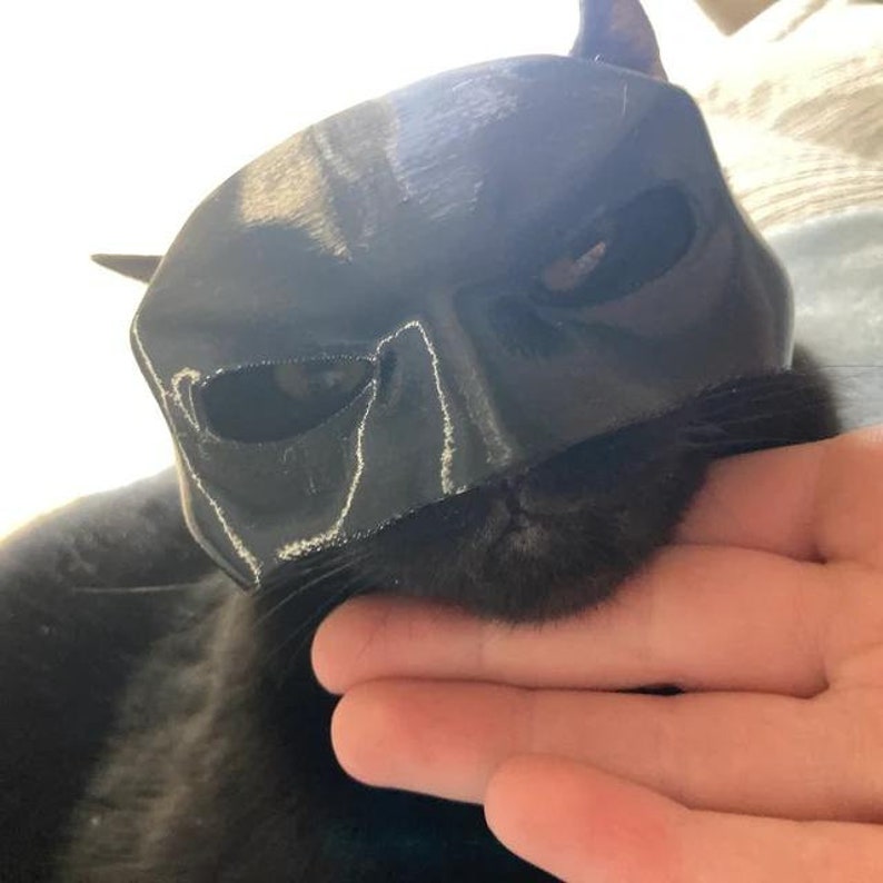 CatMan (Batman Mask For Cats) – Tailored Paw